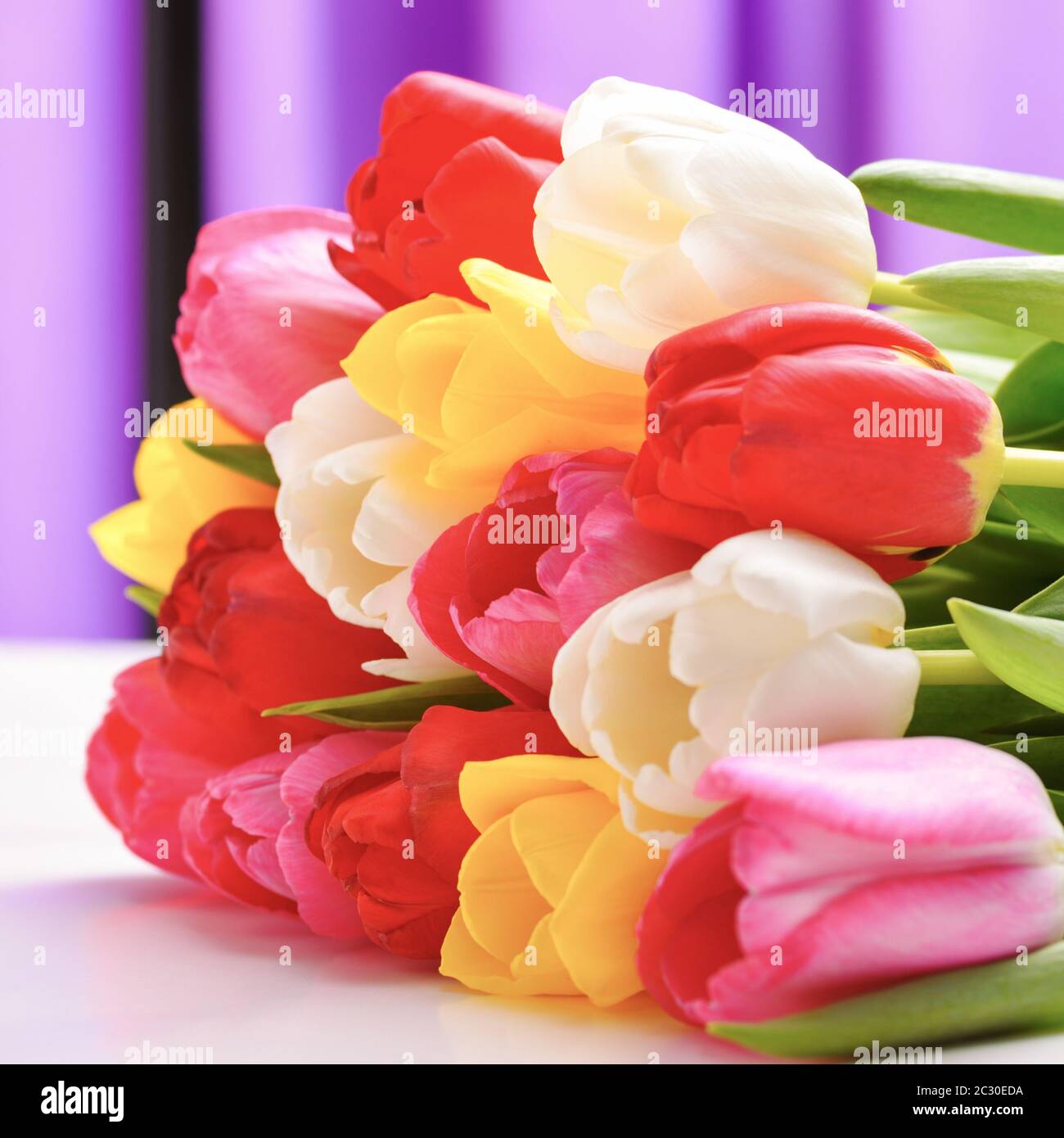 A bouquet of fresh, bright, multi-colored tulips Stock Photo - Alamy