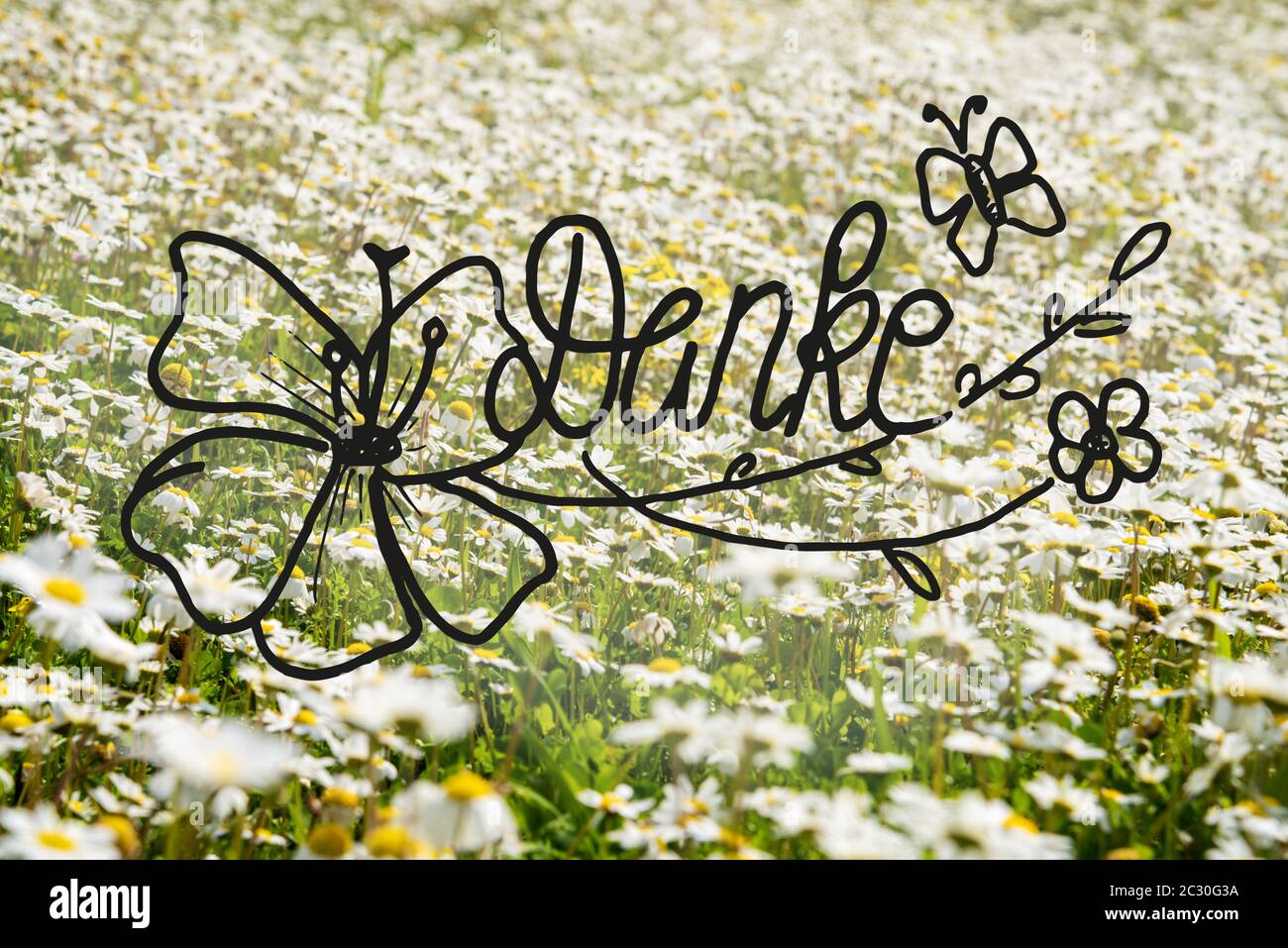 German Calligraphy Danke Means Thank You. Beautiful Scenery Of Sunny ...