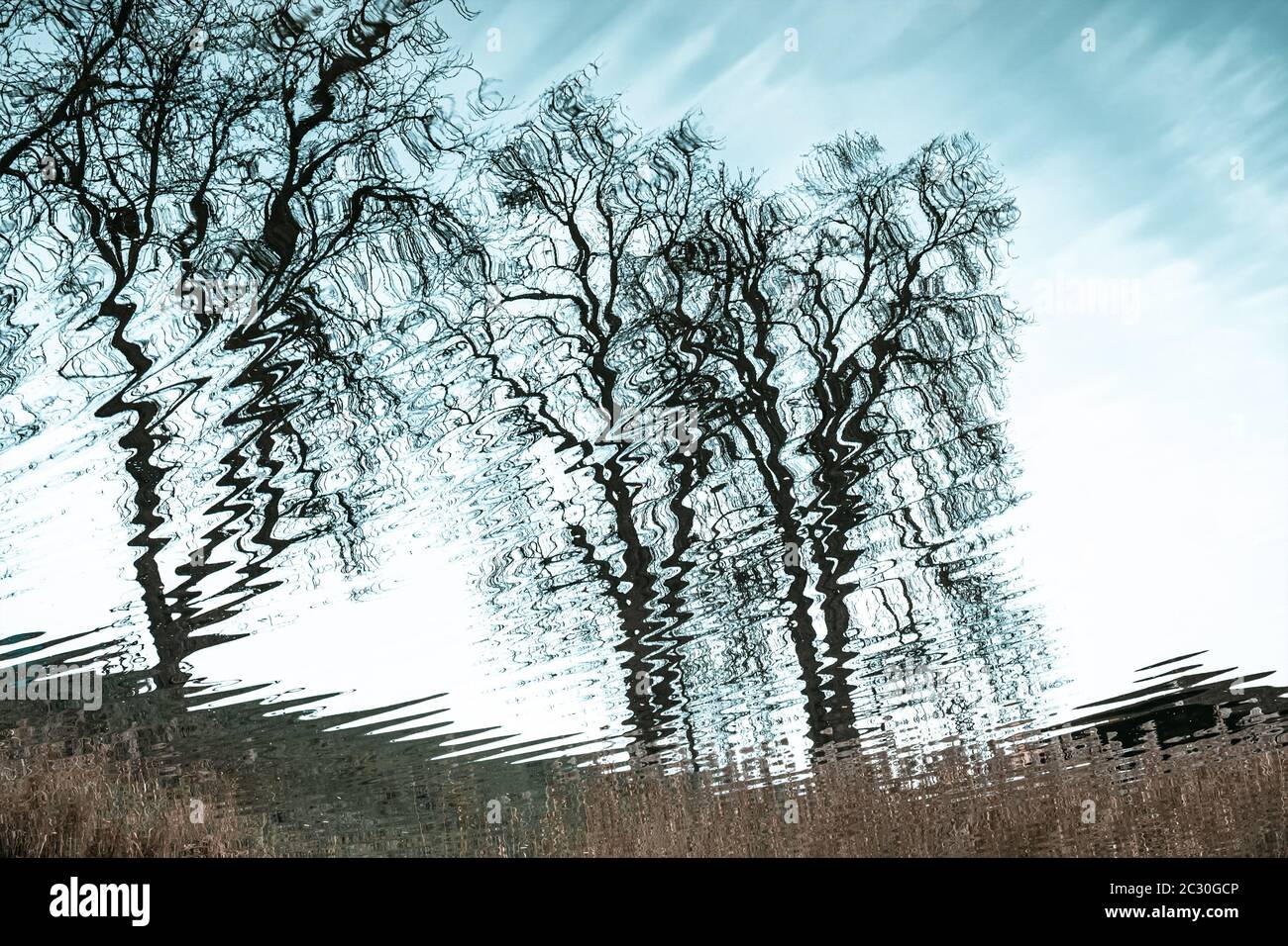 Clear reflection trees hi-res stock photography and images - Alamy