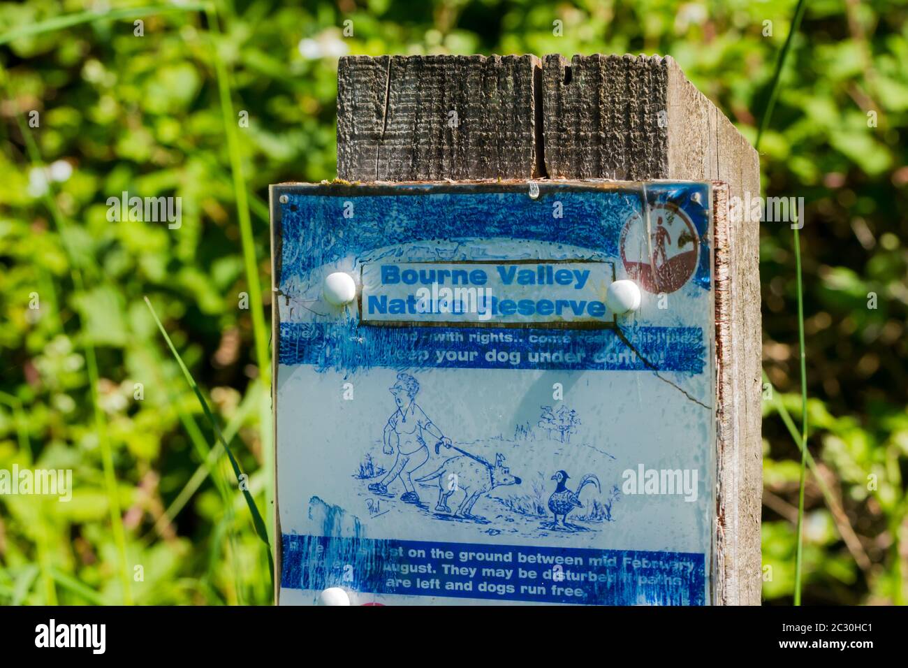 Bourne valley hi-res stock photography and images - Alamy