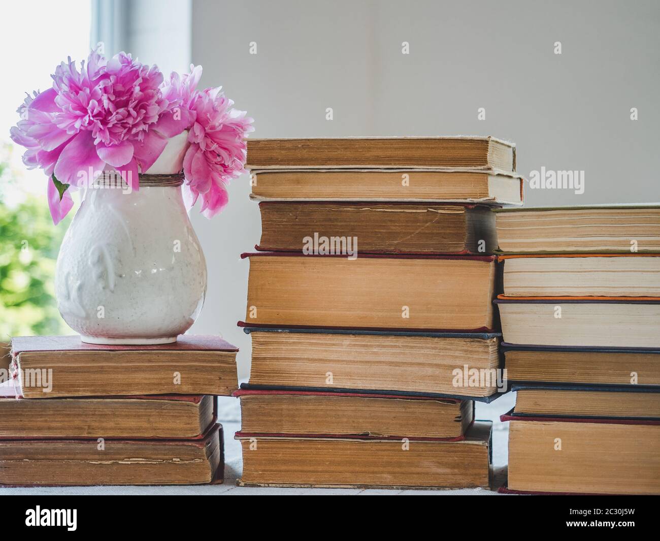 Book beautiful chrysanthemum flowers hi-res stock photography and ...