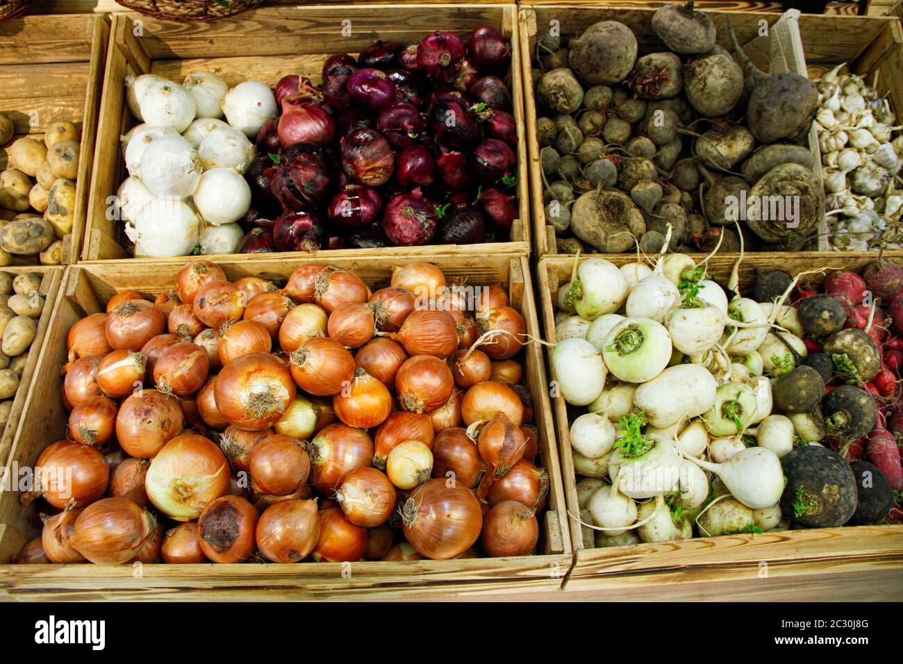 Onions in trays hi-res stock photography and images - Alamy