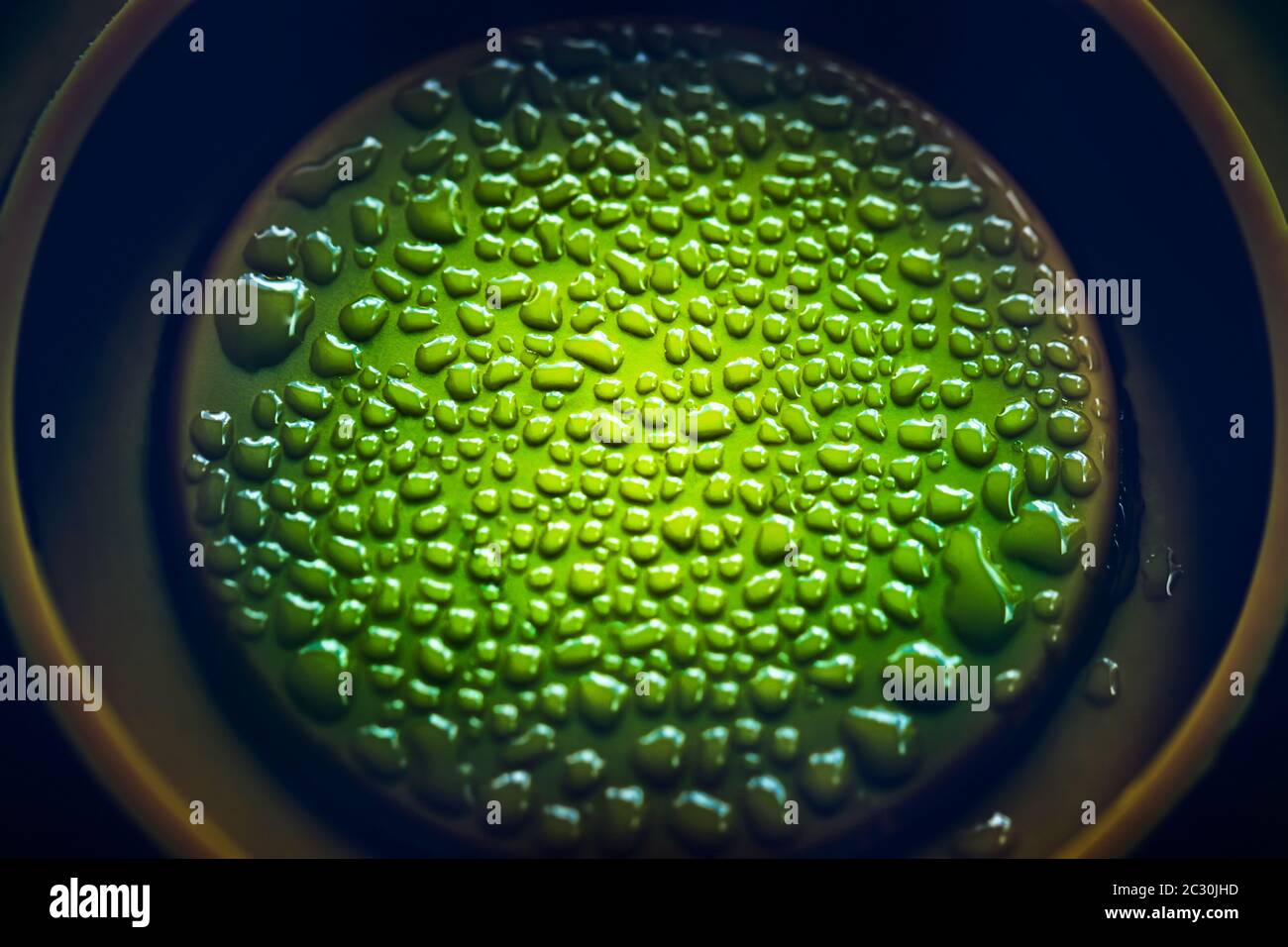 Experimental lab sample with biomaterials, laboratory studies for the ...