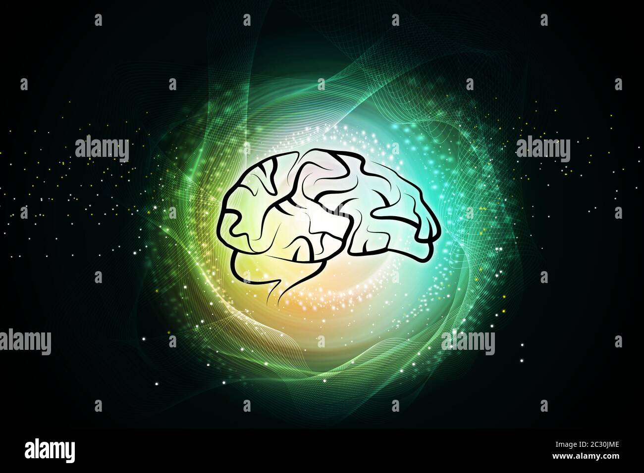 Human brain structure Stock Photo - Alamy