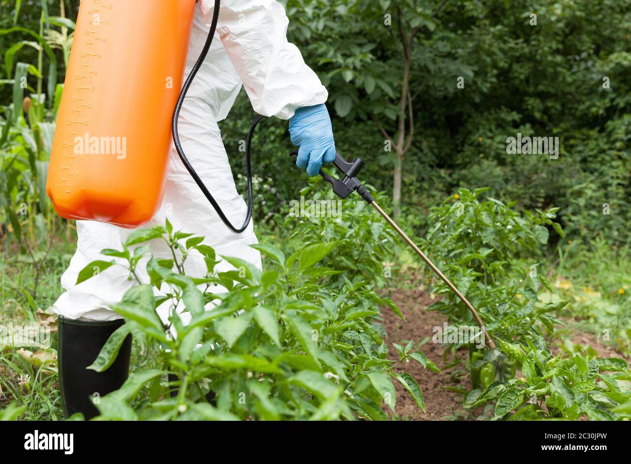 Man spraying pesticides hi-res stock photography and images - Alamy