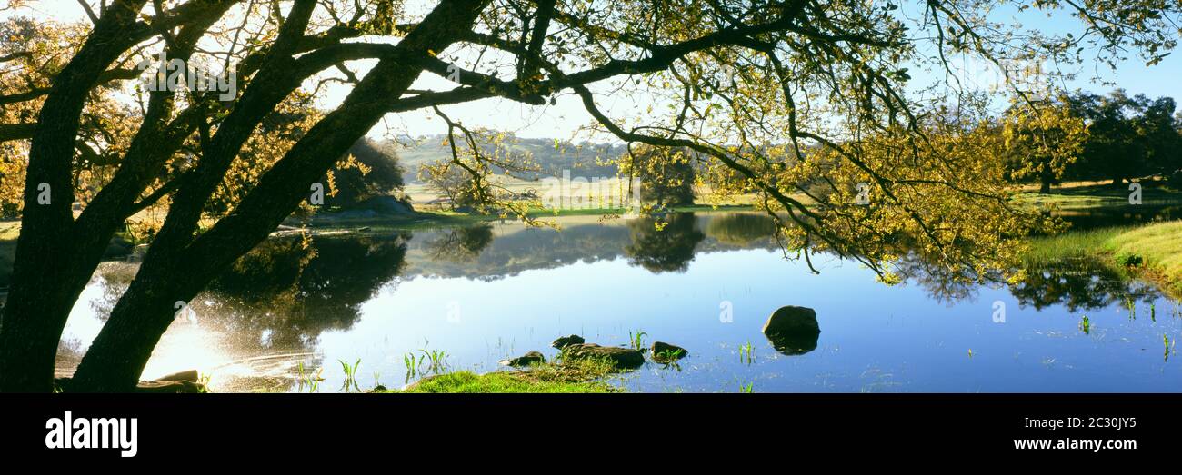 Landscape with lake and trees, Santa Ysabel West Preserve, Santa Ysabel ...