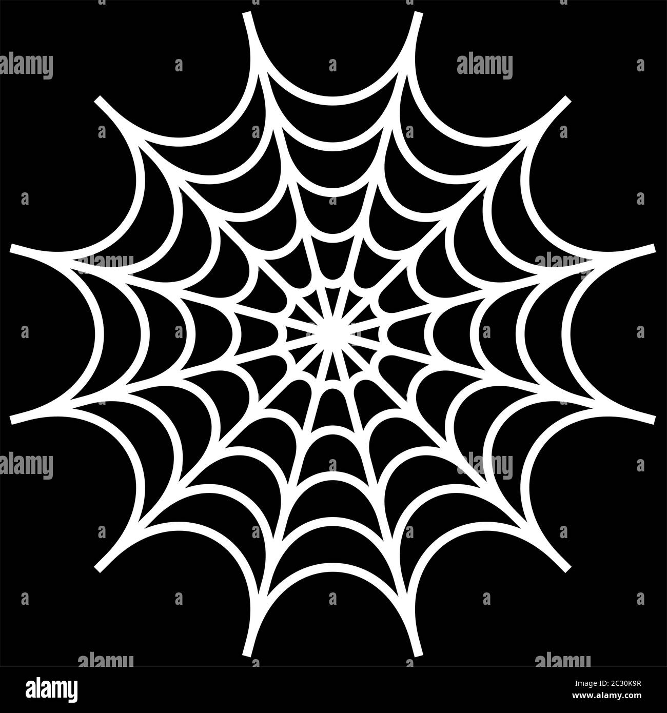 Vector Spider Web Design