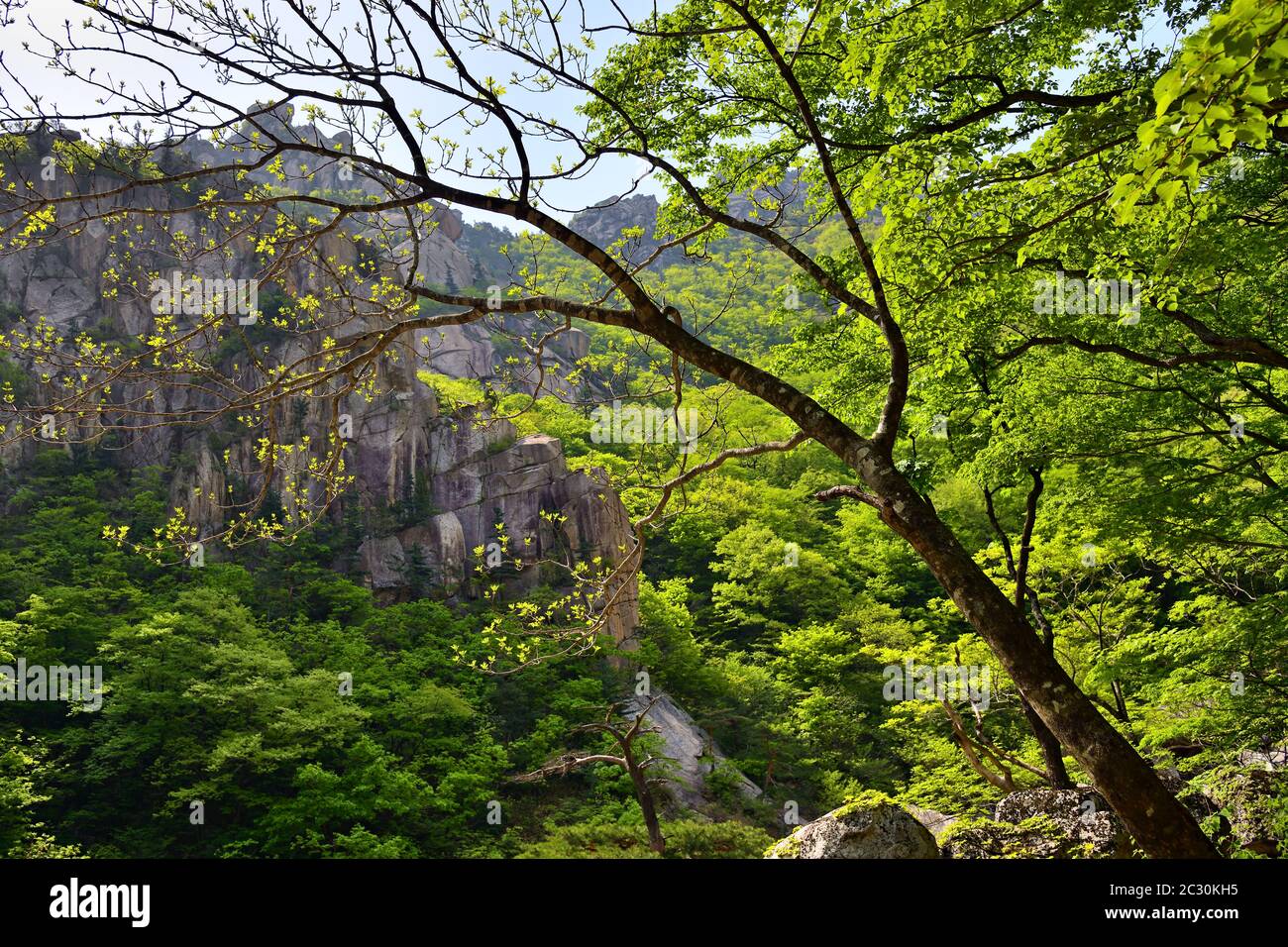 Diamond mountains. DPRK. Mt.Kumgang trekking route. Amazing scenery ...