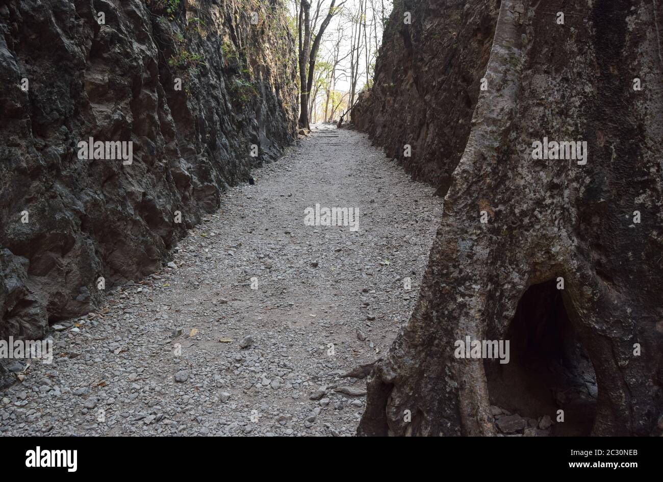 Hintock camp hi-res stock photography and images - Alamy