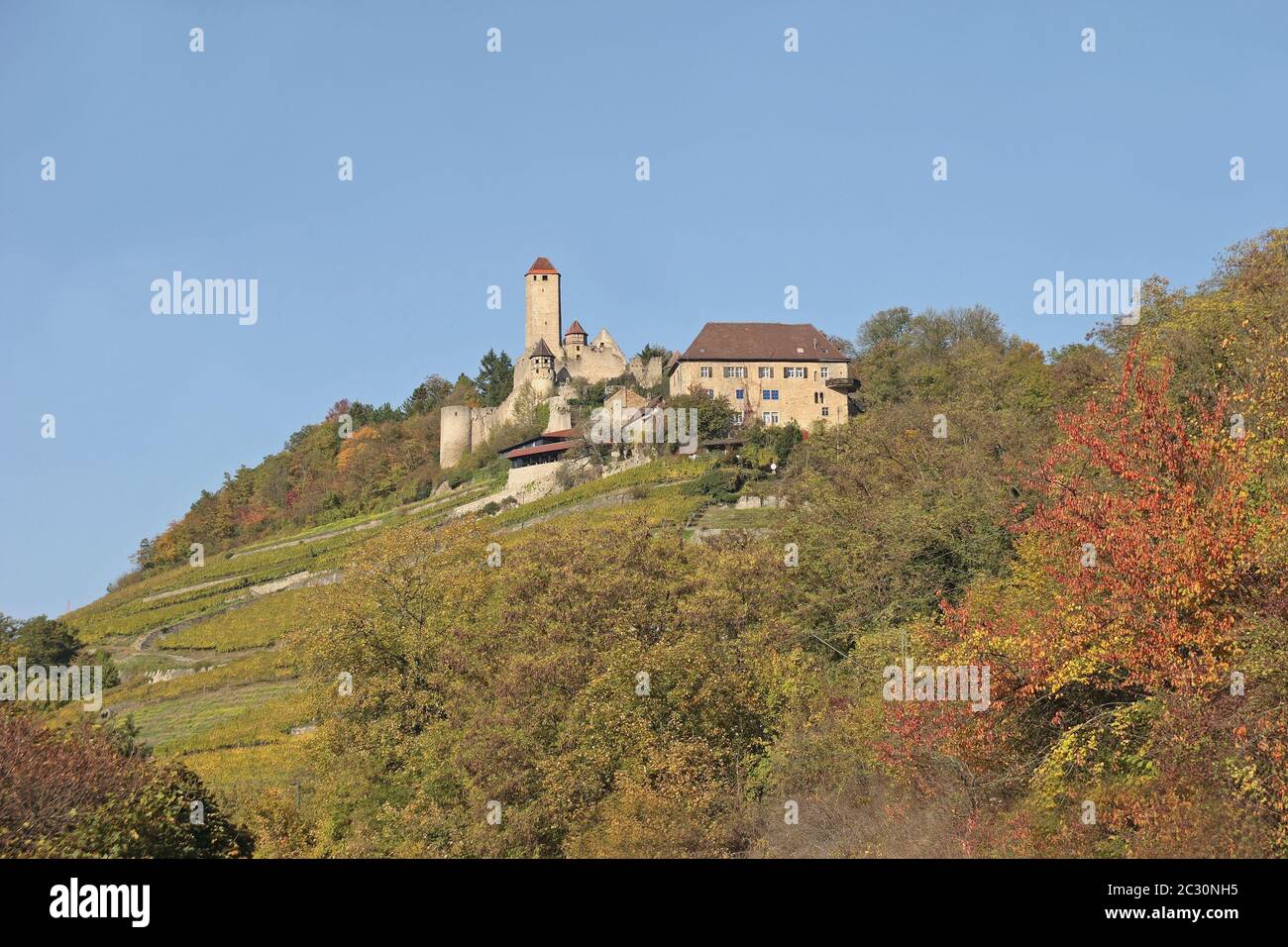 Castle Hornberg on the river Neckar near Neckarzimmern Stock Photo - Alamy