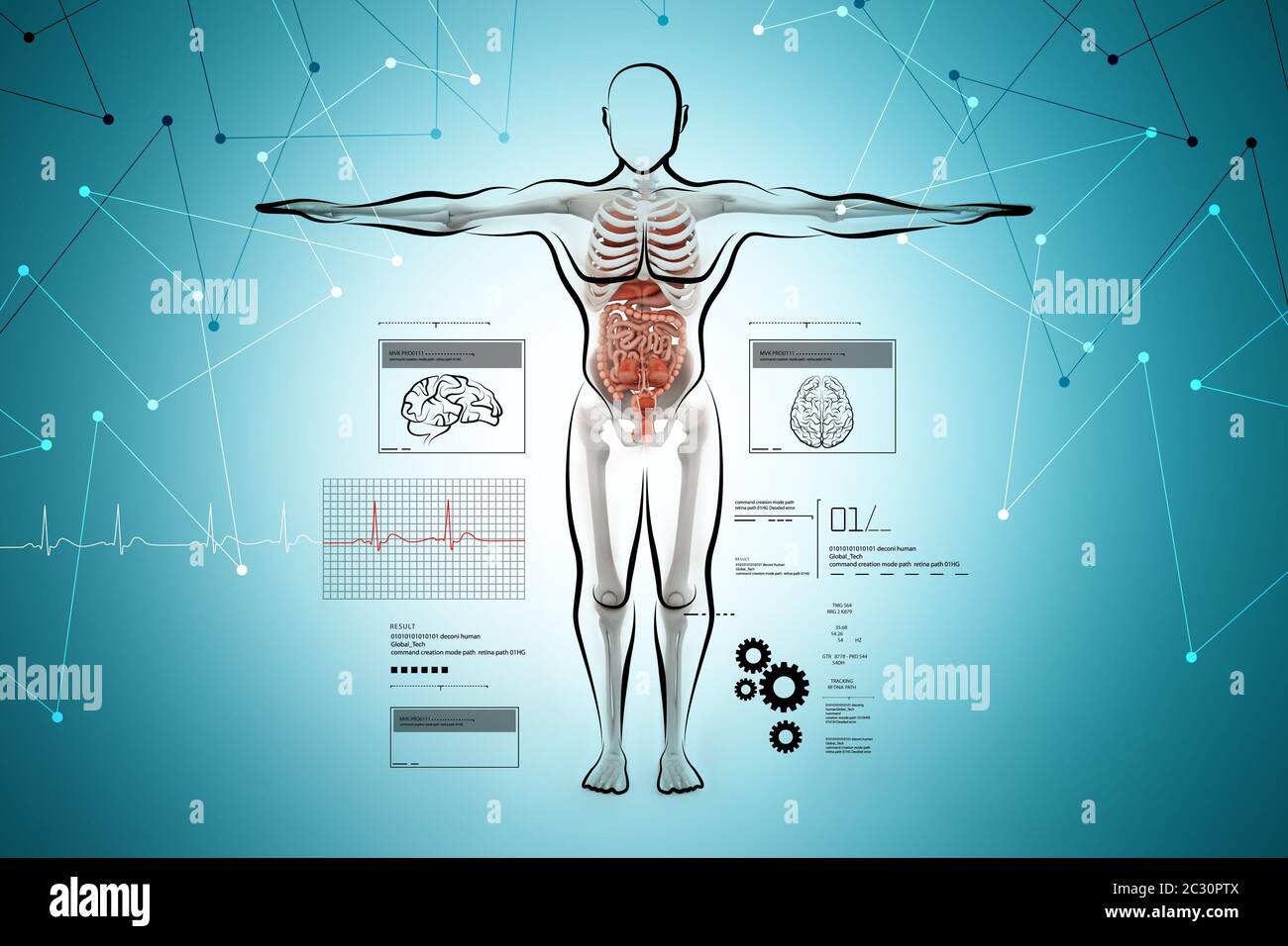 Anatomy of human body Stock Photo - Alamy