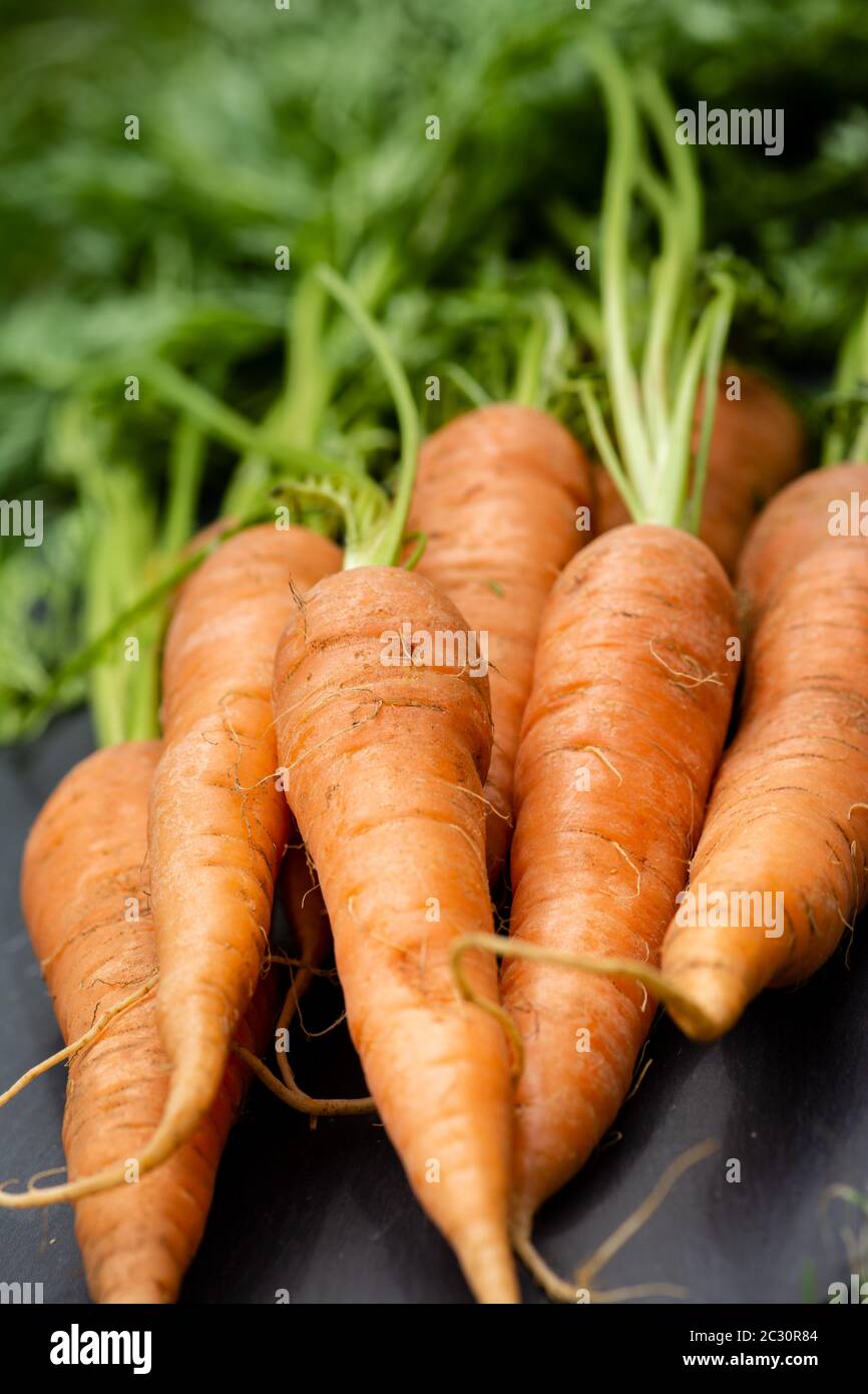 healthy organic carrots Stock Photo - Alamy