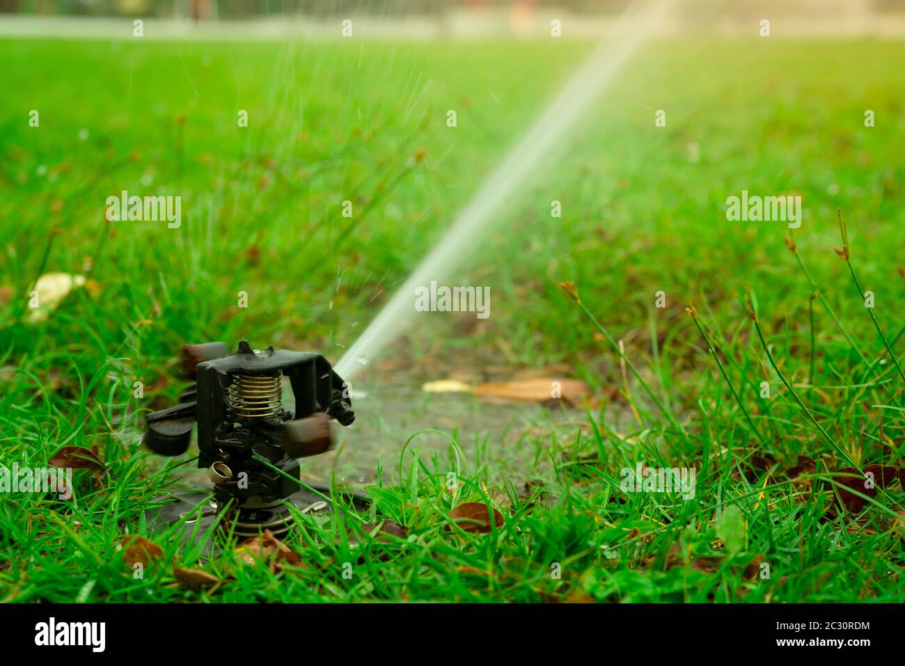 Automatic lawn sprinkler watering green grass. Garden, yard irrigation ...