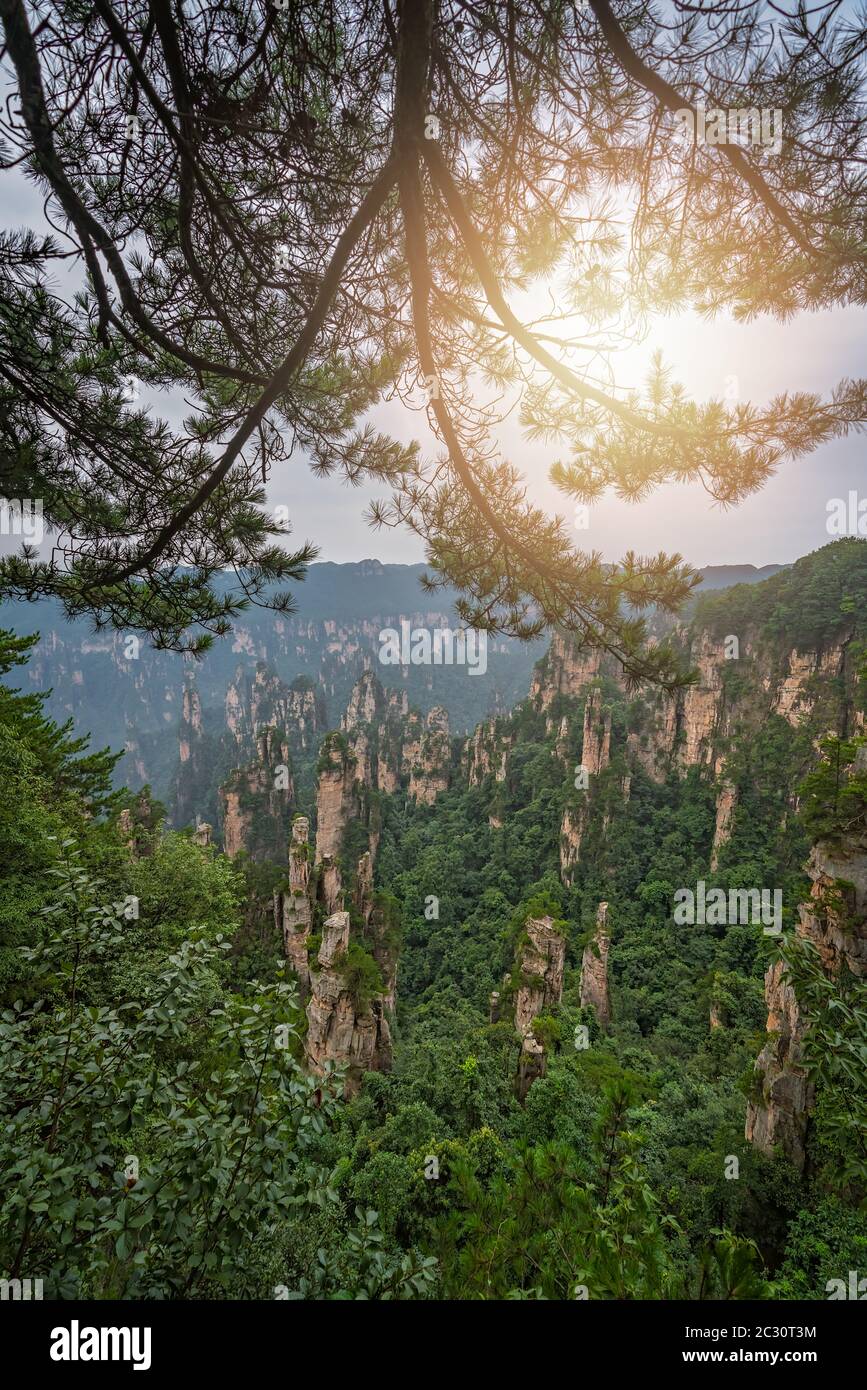 Vertical view of the stone pillars of Tianzi mountains in Zhangjiajie ...
