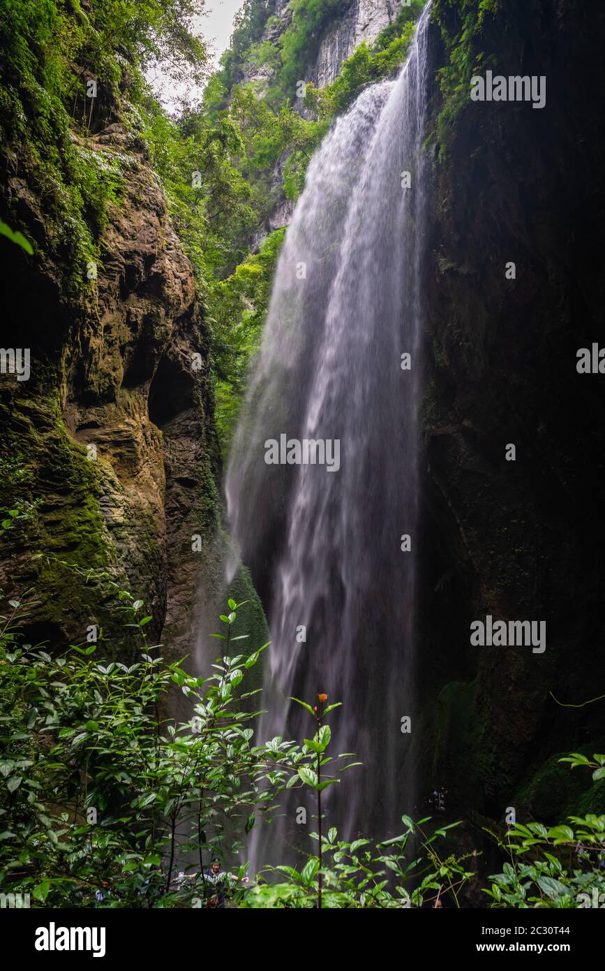 Wulong hi-res stock photography and images - Alamy