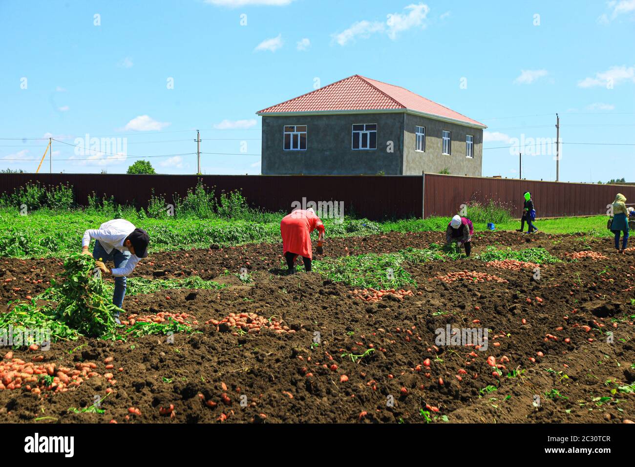 Farmers house in green hi-res stock photography and images - Alamy