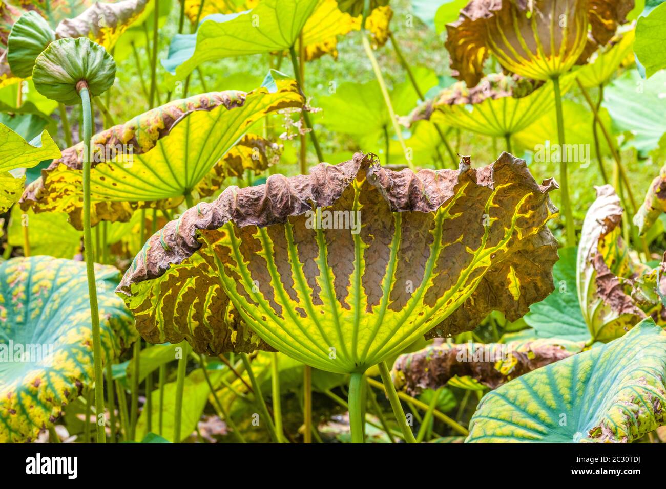Manchester park view hi-res stock photography and images - Alamy