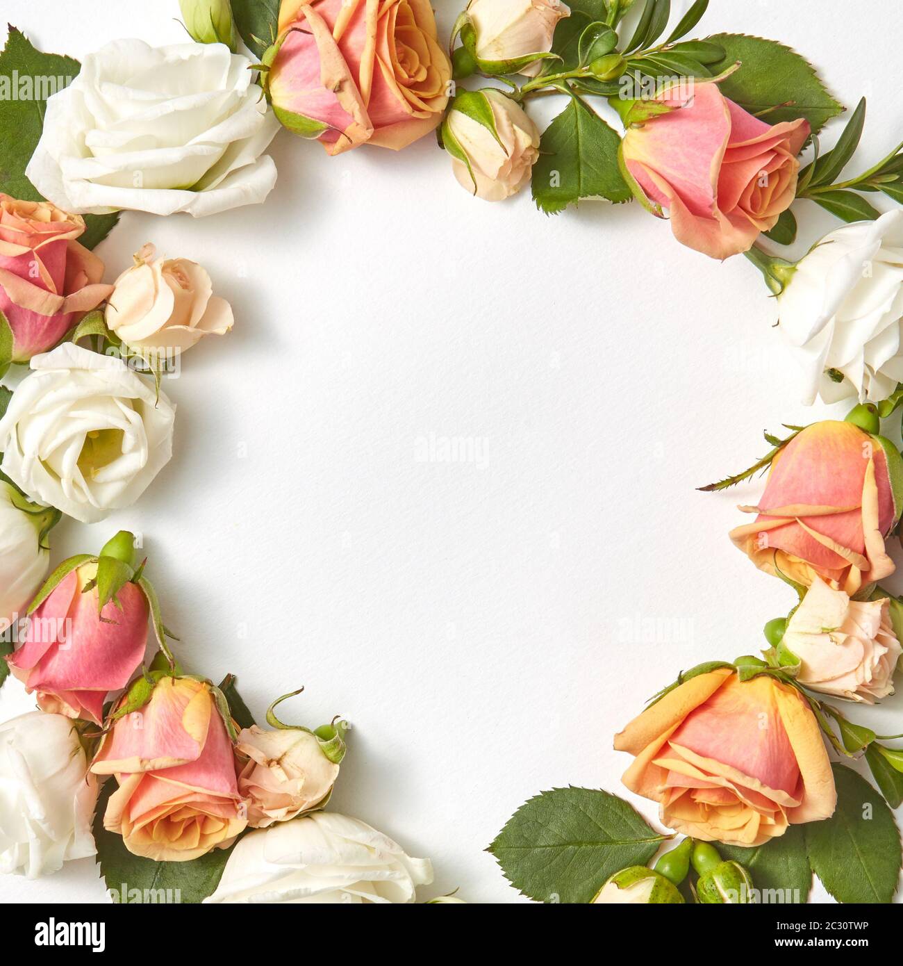 Round roses flowers frame for congratulation Stock Photo - Alamy