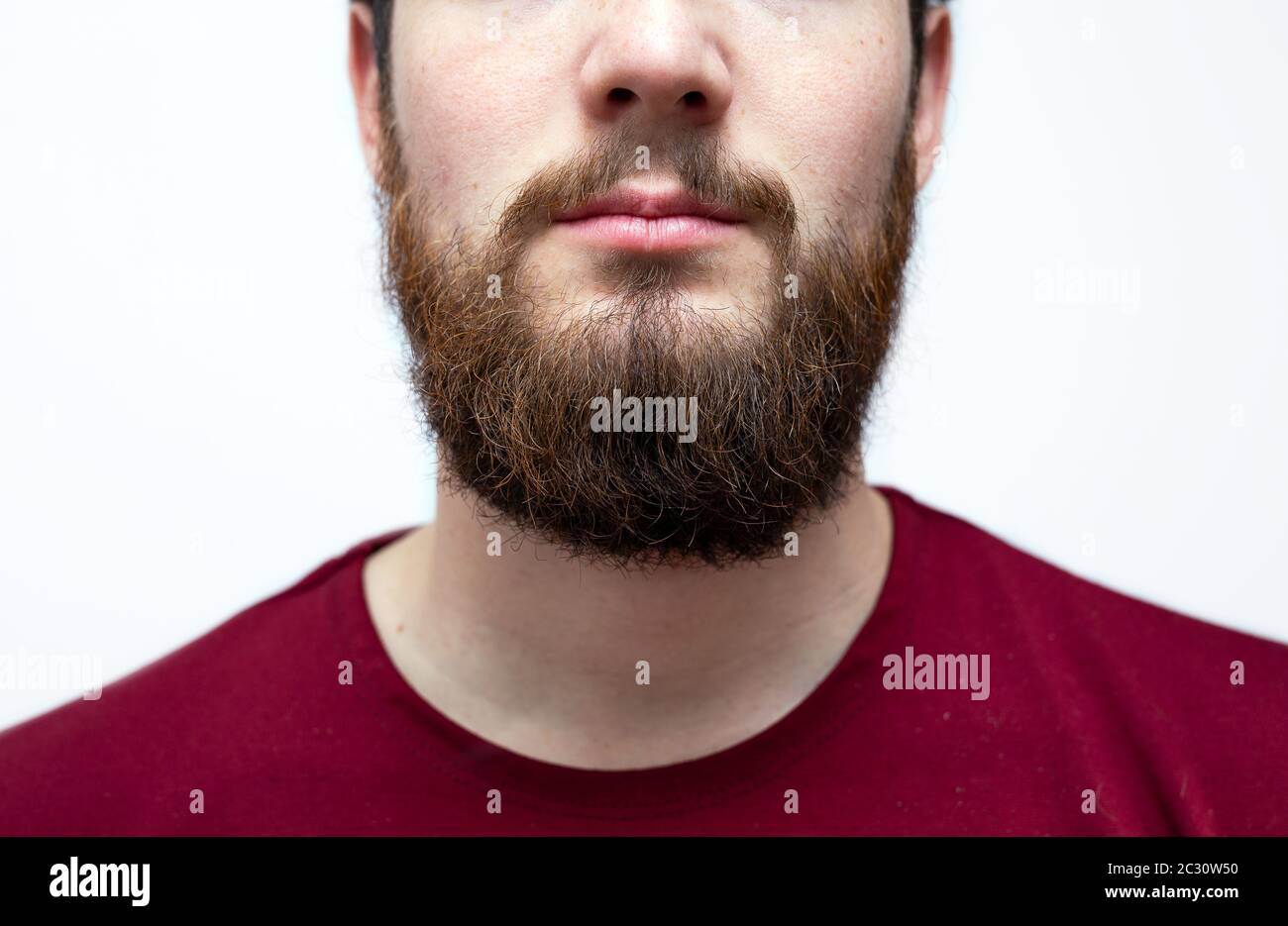 Portrait youn man with messy brown orange beard and moustache and messy ...