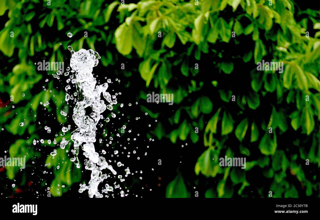 splash of waterdrops ,water fly levitate in the air image Stock Photo ...