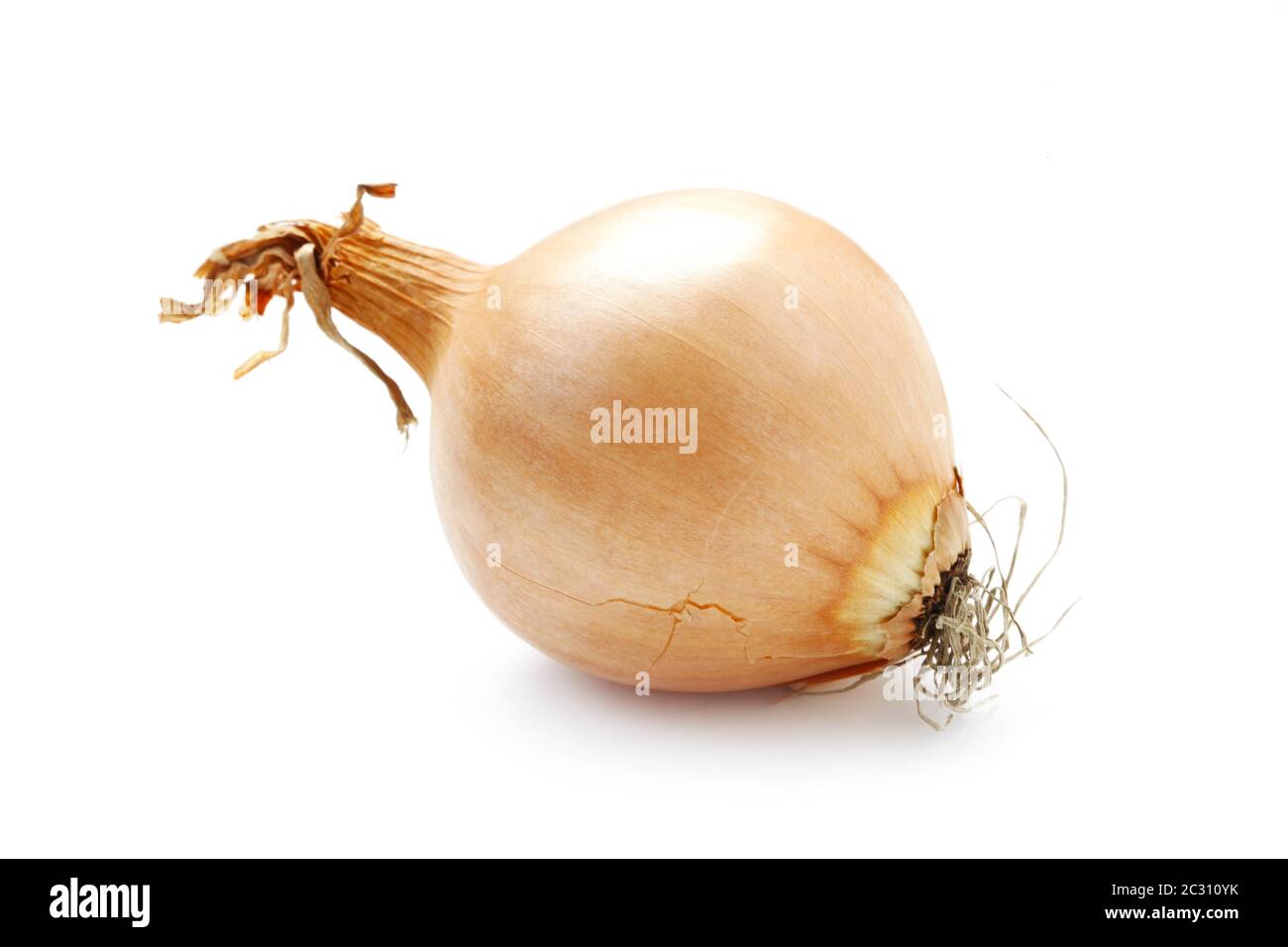 Onion raw hi-res stock photography and images - Alamy