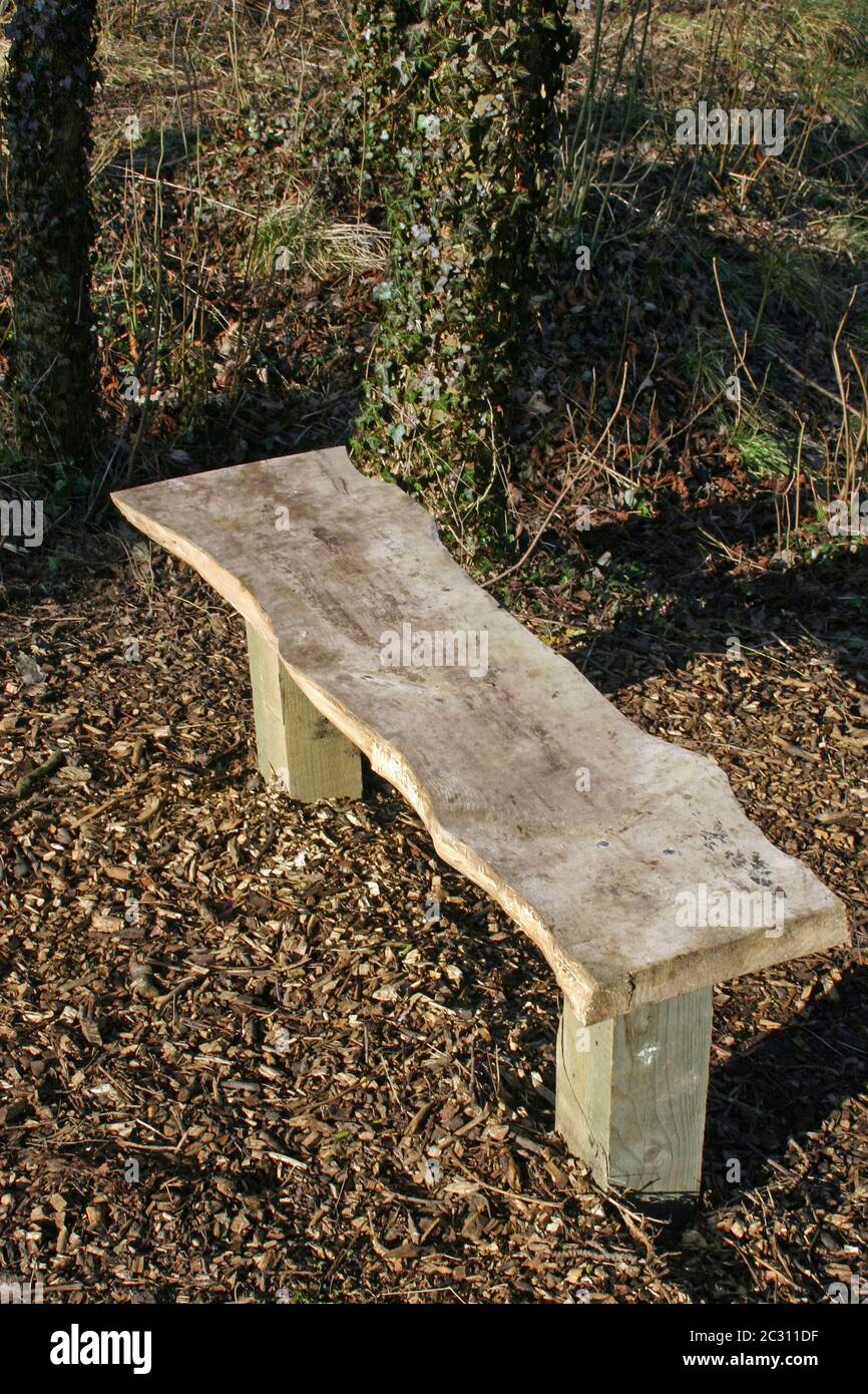 Wooden seat made from a rough cut plank of timber, which could be elm ...
