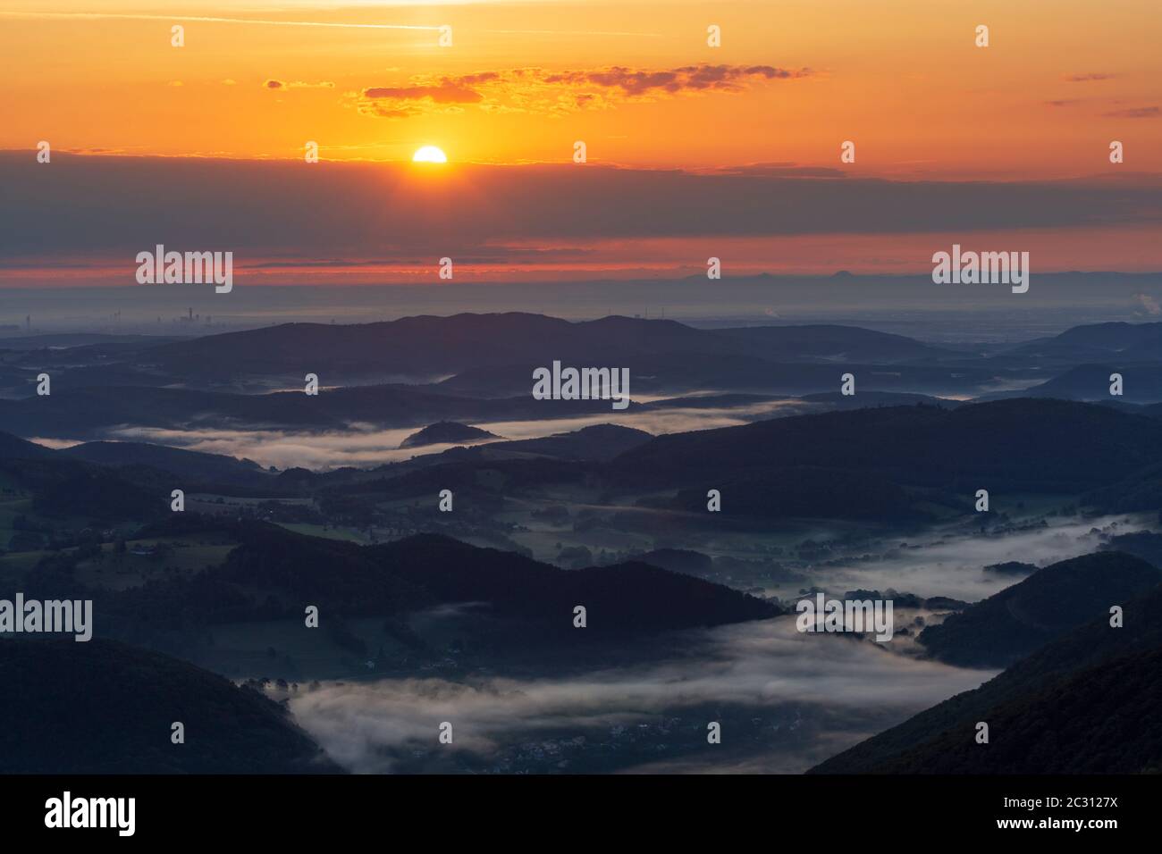 Altenmarkt an der Triesting: view to forest Wienerwald, (Vienna Woods ...