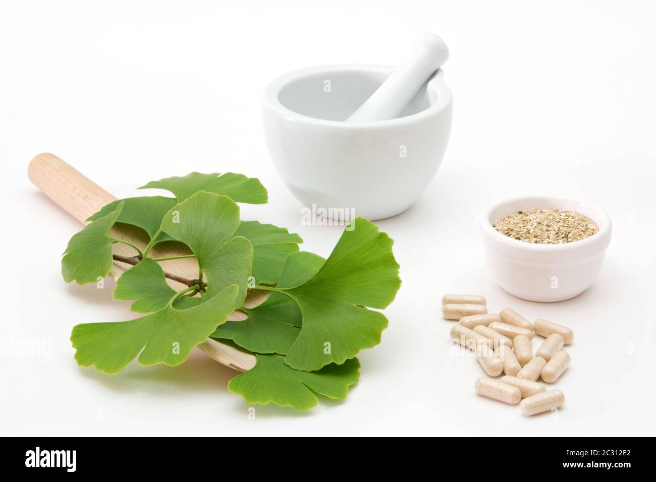 Dried ginkgo biloba leaves hi-res stock photography and images - Alamy