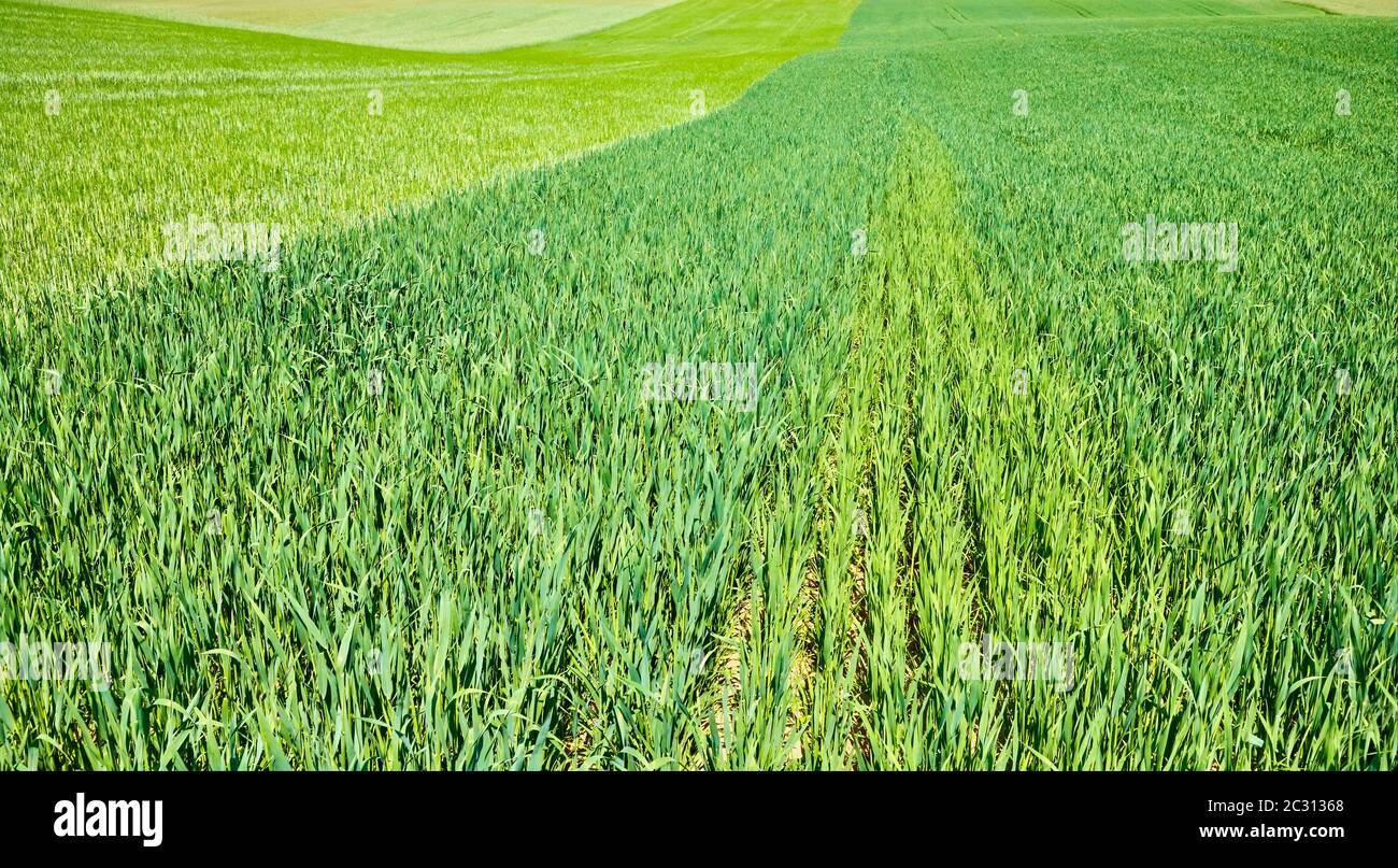 Agricultural background hi-res stock photography and images - Alamy