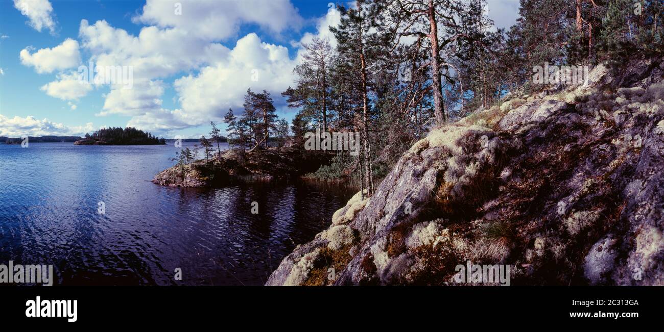 View of trees on rocky lakeshore of Lake Saimaa, Puumala, Finland Stock ...