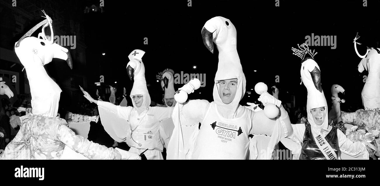 Black flamingo new york hi-res stock photography and images - Alamy