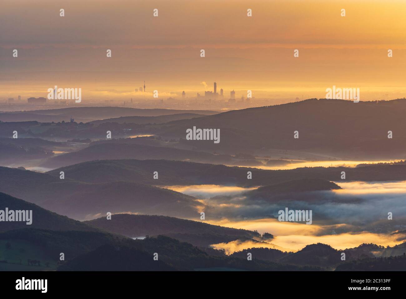 Wien, Vienna: view over forest Wienerwald, (Vienna Woods) to Vienna ...