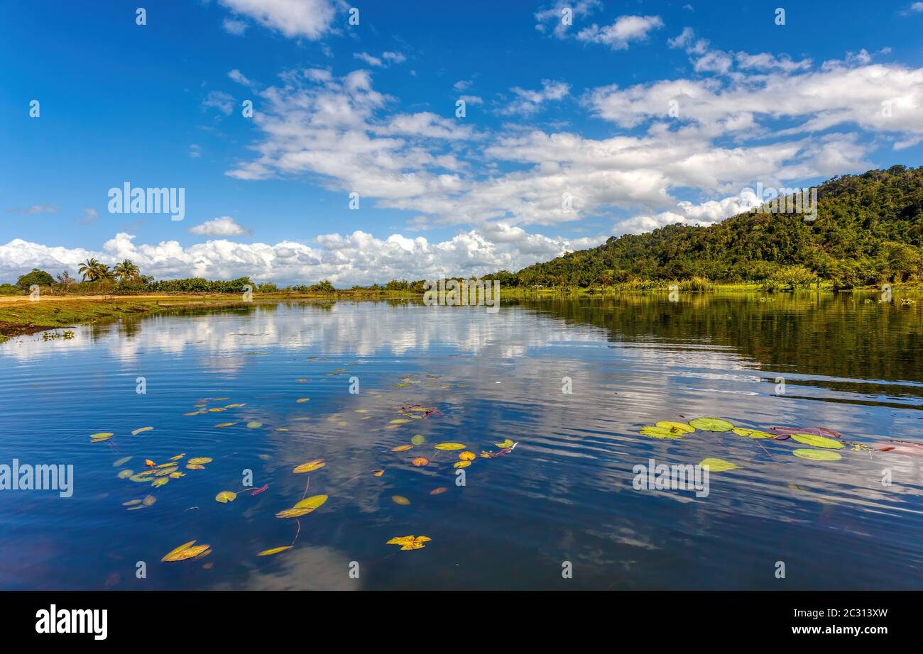 Madagascar, jungle, lake hi-res stock photography and images - Alamy