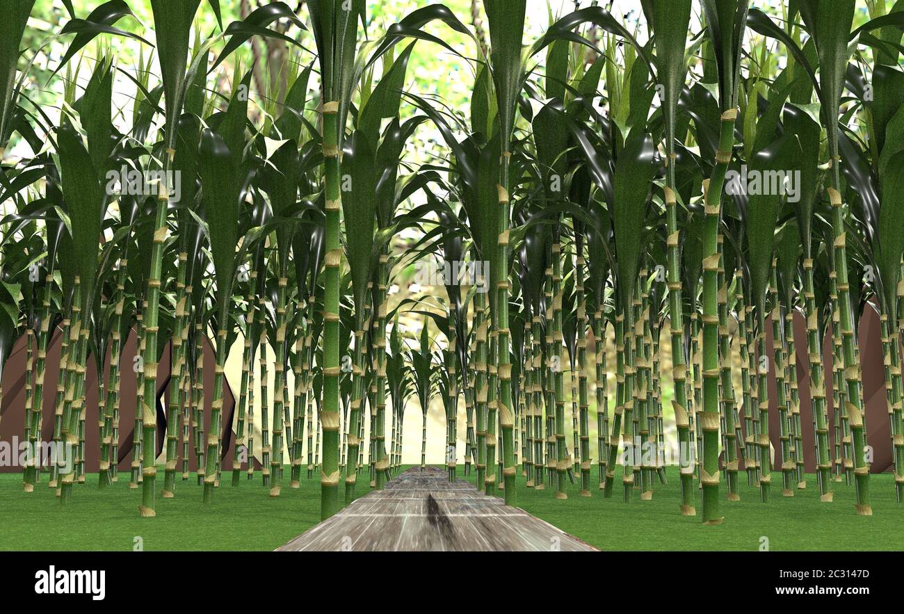 Animation material hi-res stock photography and images - Alamy