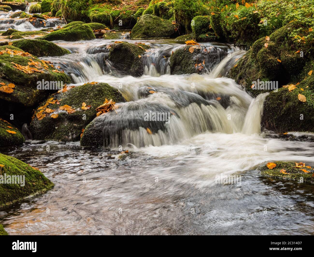 The small ohe hi-res stock photography and images - Alamy