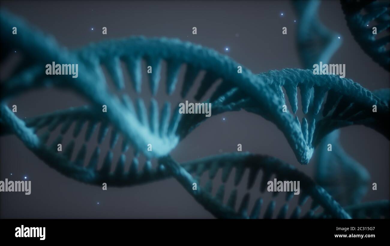 double helical structure of dna strand close-up animation Stock Photo ...