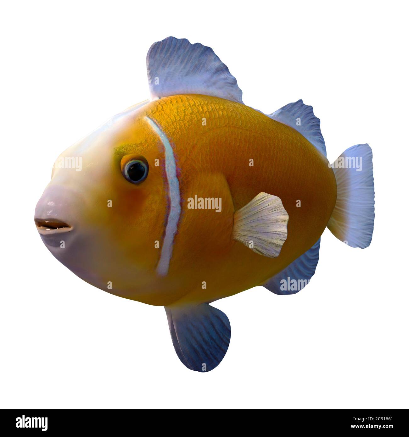 3D rendering of a yellow clownfish isolated on white background Stock Photo - Alamy