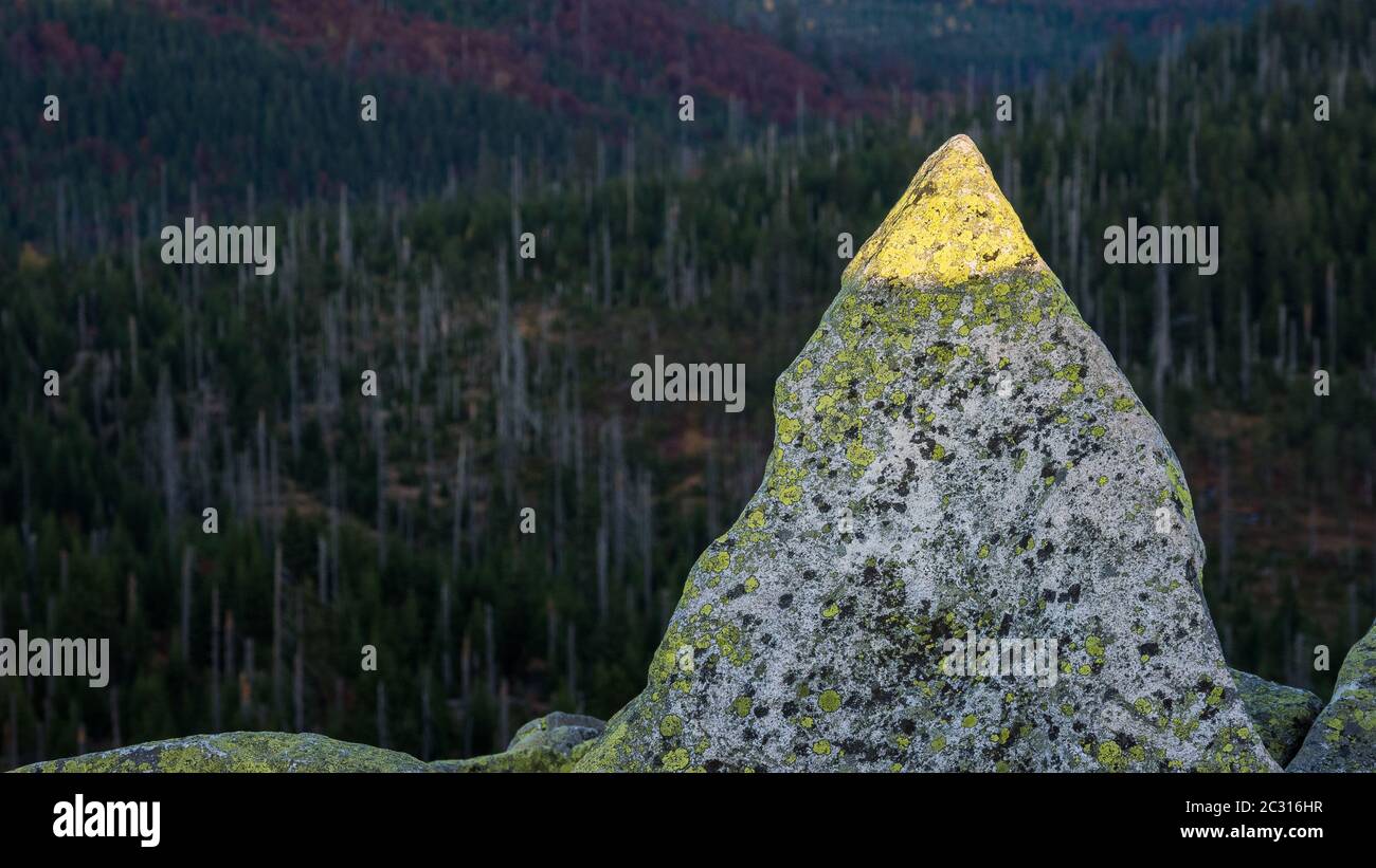Evening sun on the mountain Lusen Stock Photo - Alamy