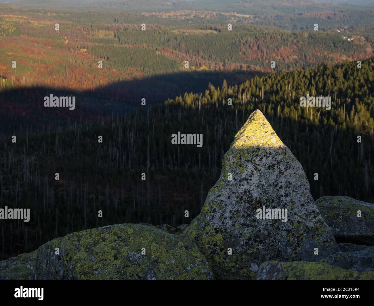 Evening sun on the mountain Lusen Stock Photo - Alamy