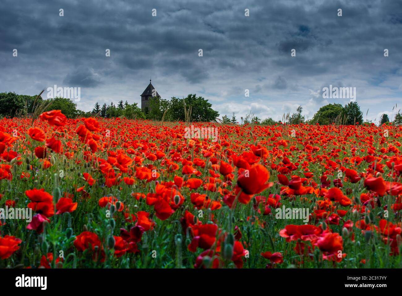 Lonely church in the poppy field before storm Stock Photo - Alamy