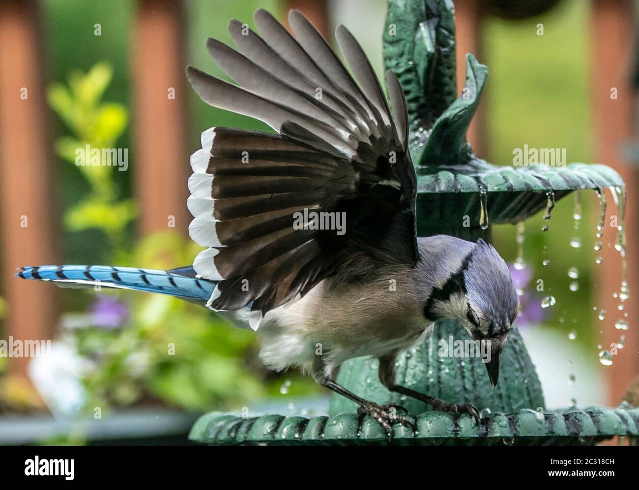 Flopping hi-res stock photography and images - Alamy