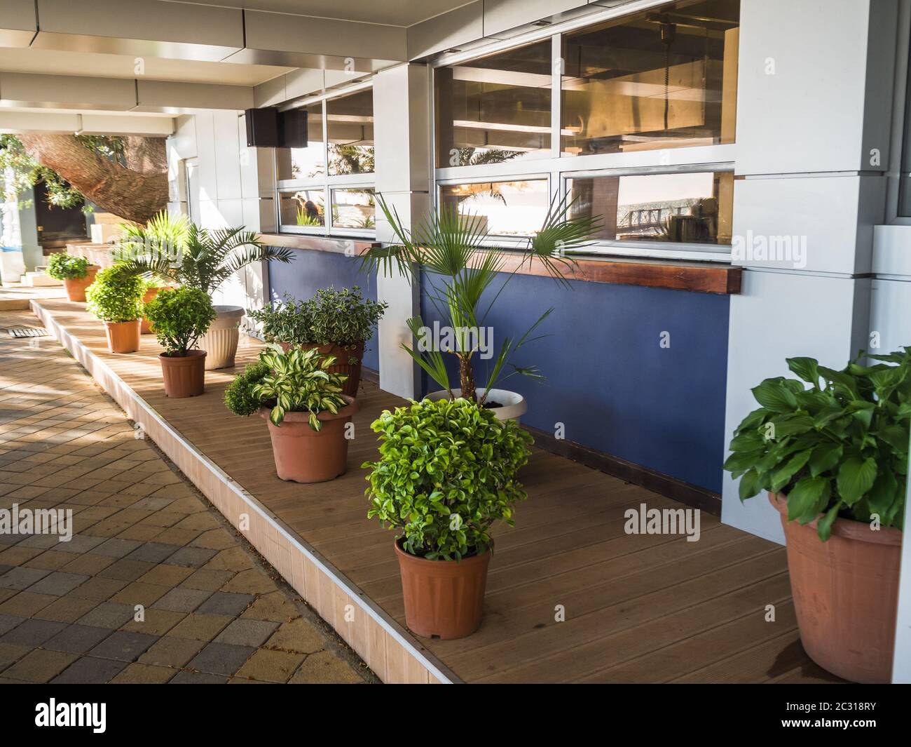 Street planters hi-res stock photography and images - Alamy