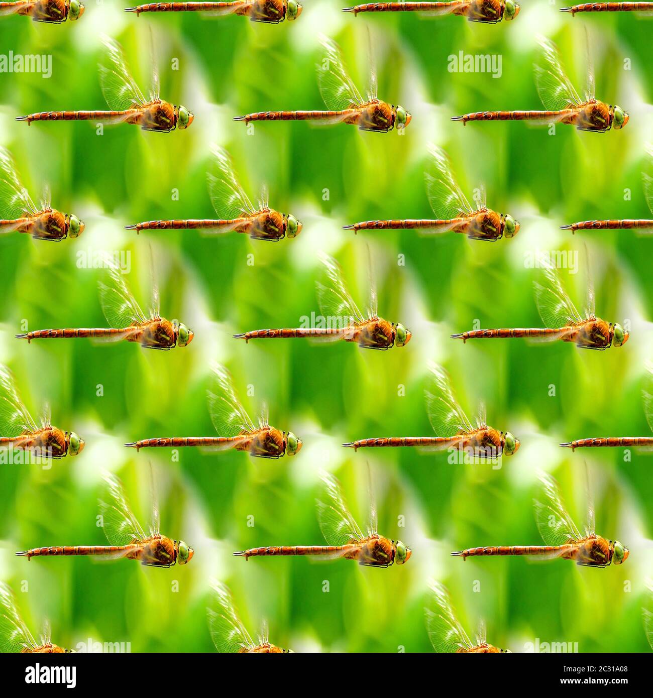 Seamless abstract natural background with flying dragonflies Stock ...
