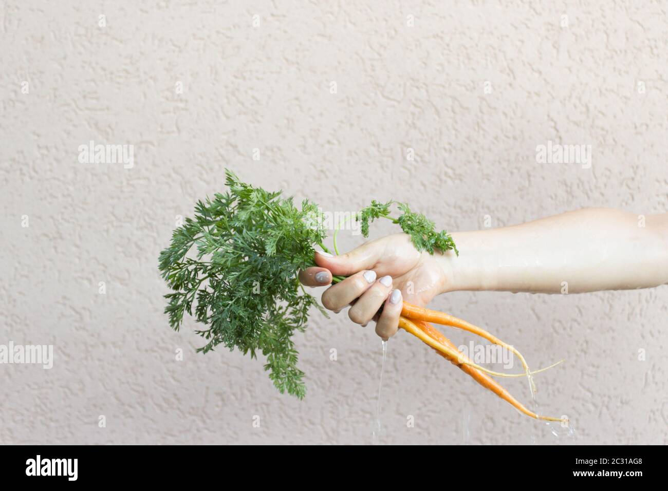 Female hand holding fresh carrots on beige background Stock Photo - Alamy