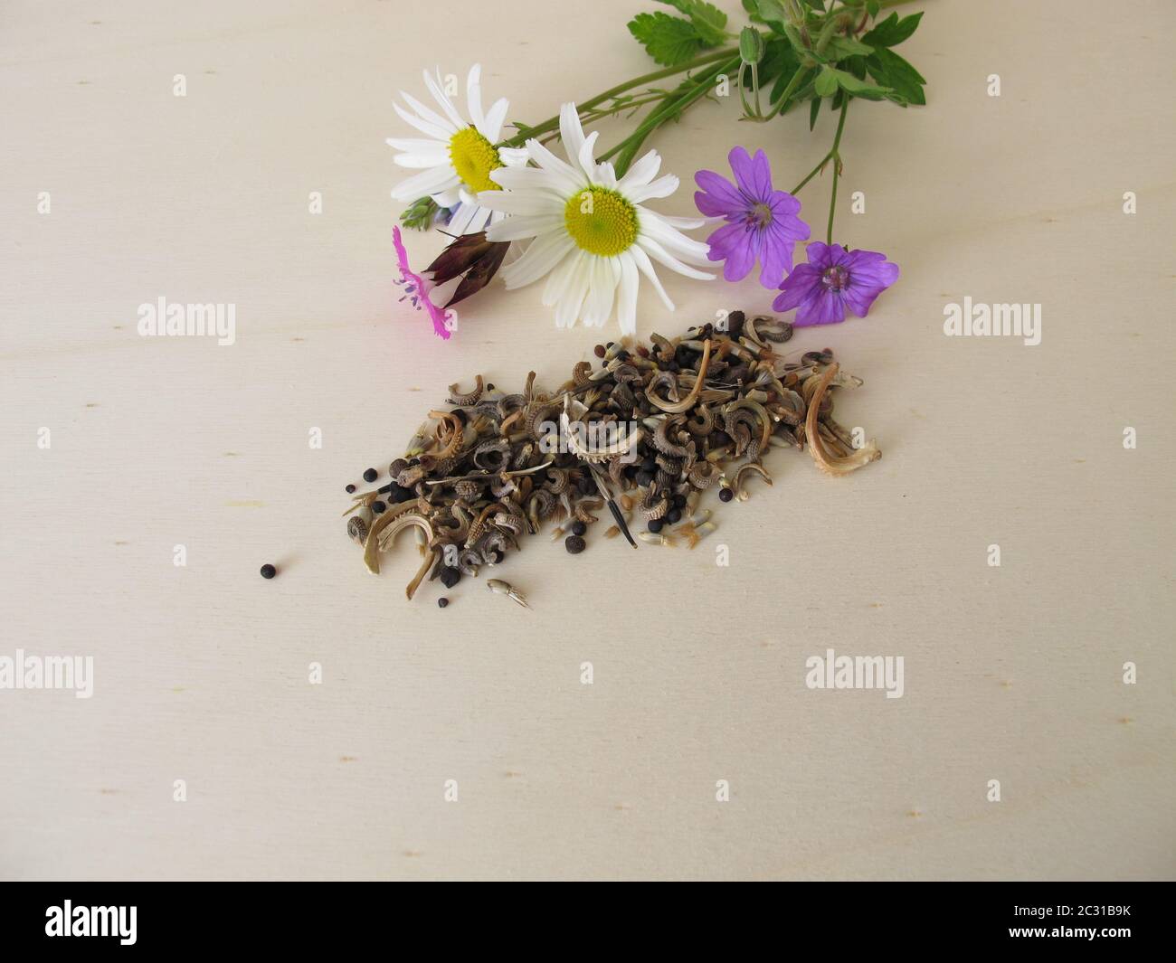 Bee friendly seed mixture and wildflowers for wild bees and other ...