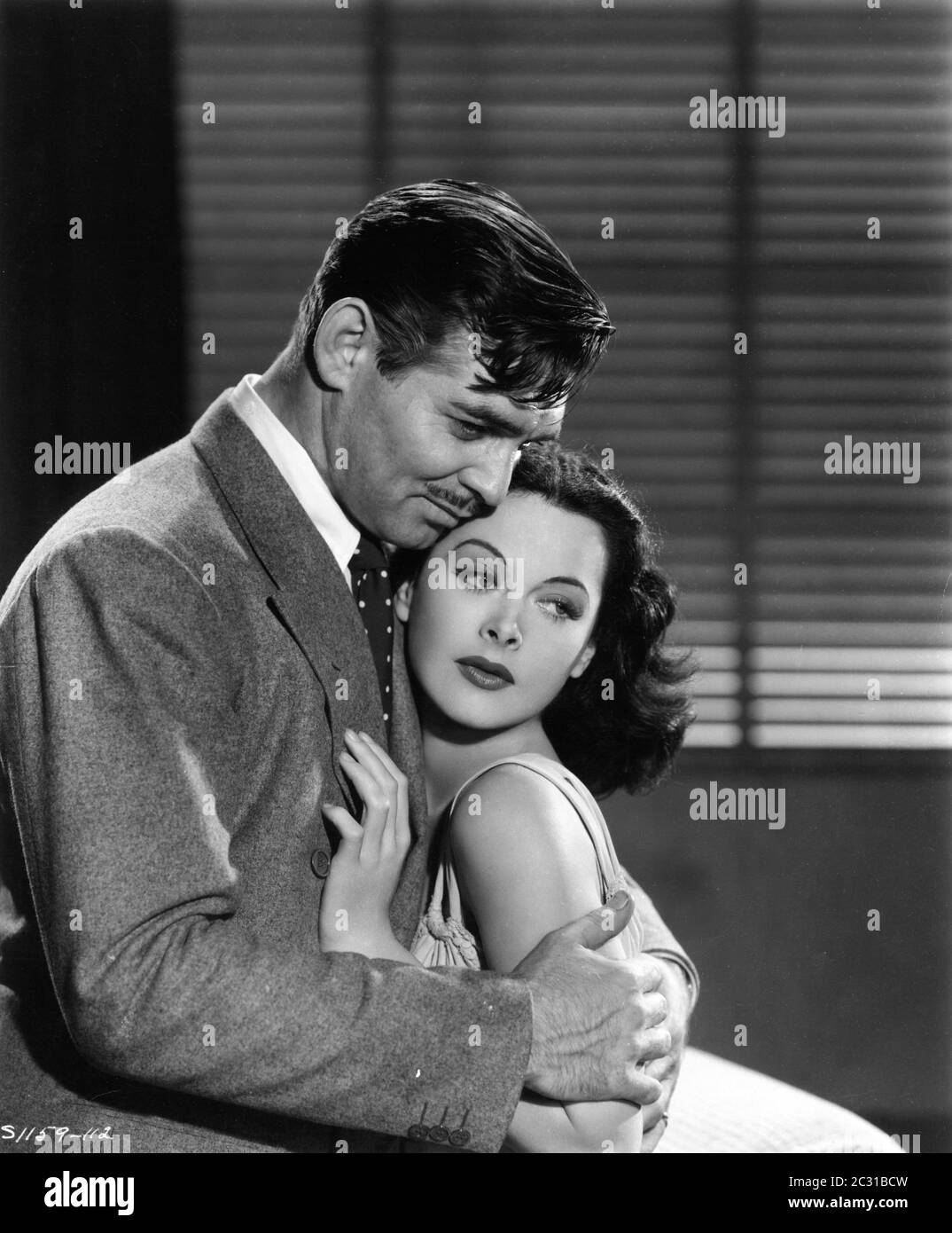 CLARK GABLE and HEDY LAMARR Publicity Portrait by CLARENCE SINCLAIR ...