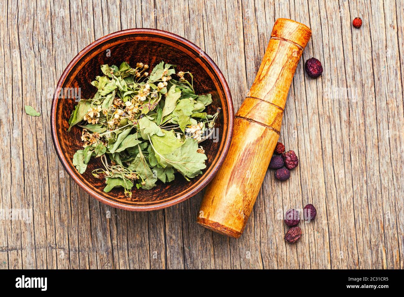 Medicinal plant hawthorn or haw in herbal medicine.Natural remedy or ...