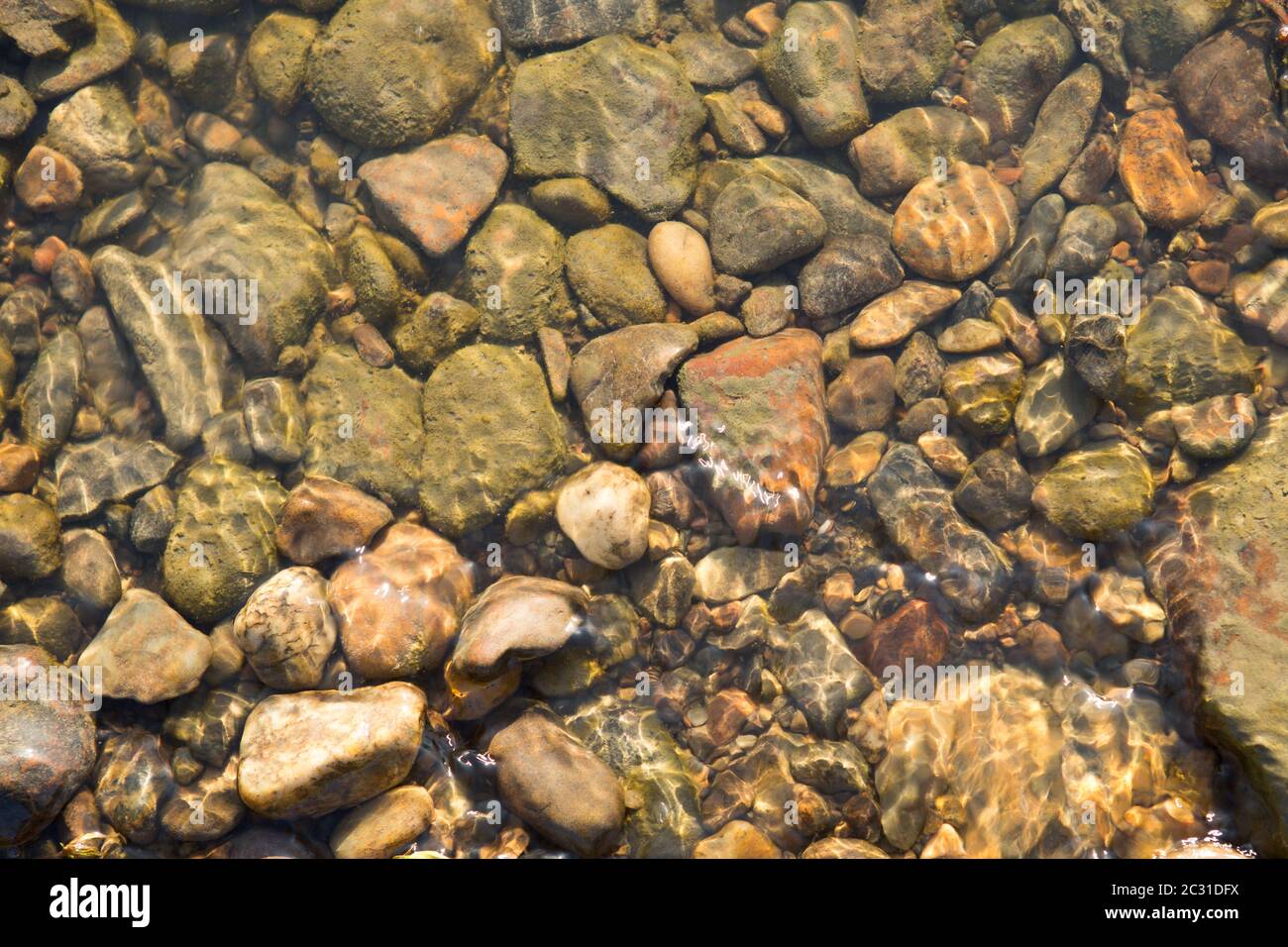 Stones under water, wet river stones Stock Photo - Alamy