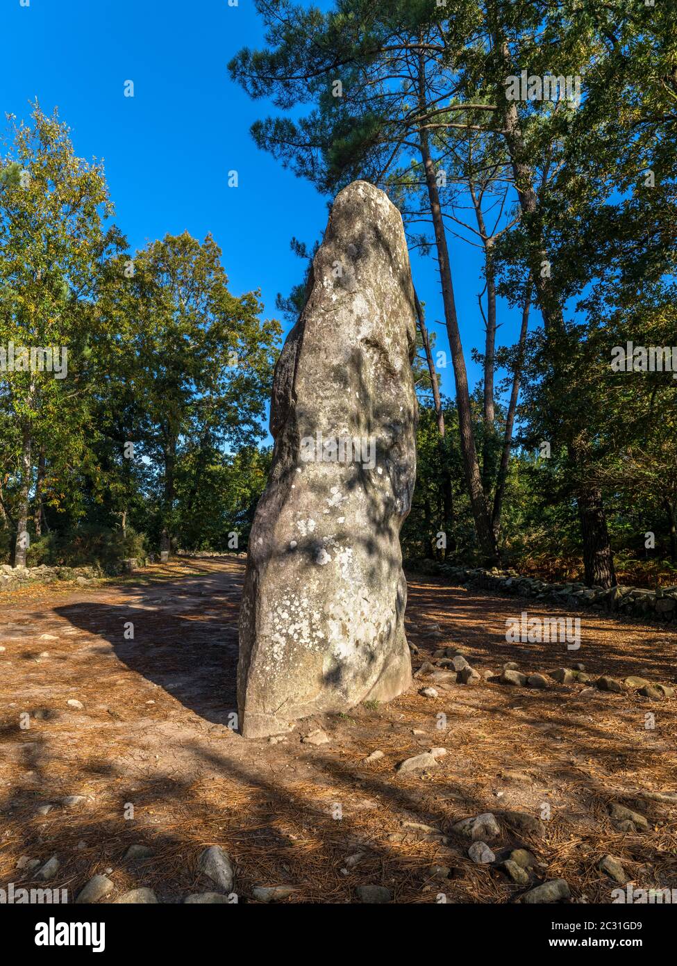 Giant Manio menhir near Carnac, Morbihan, Western Brittany, France ...