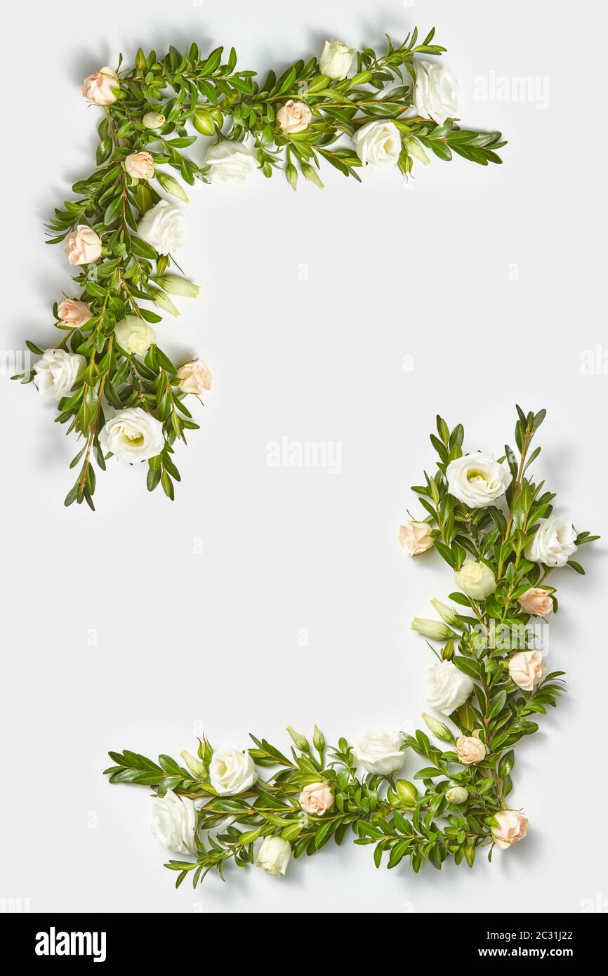 Vertical corner frame from evergreen boxwood twigs and roses Stock ...